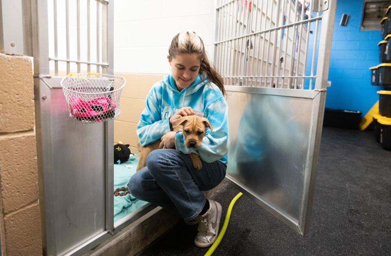 Humane Fort Wayne inches closer to new facility opening | Local ...