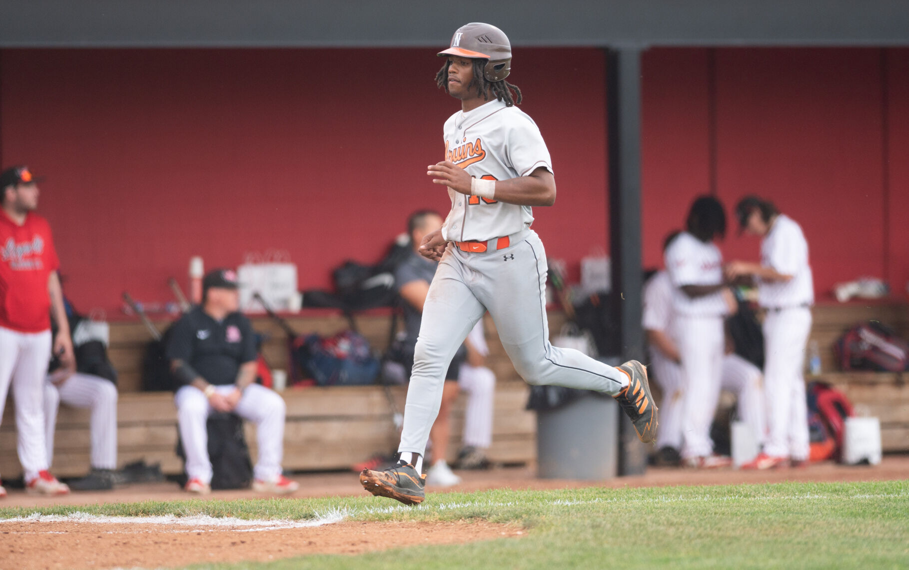 Northrop, Carroll each earn run-rule wins in DeKalb Sectional ...