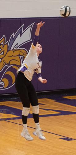 Tuesday Gallery: Angola defeats Bishop Dwenger in Class 3A Volleyball ...