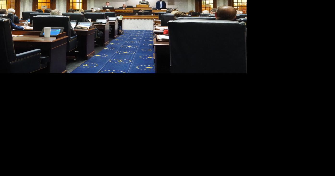 Indiana state senate incumbents face few election challengers in ...