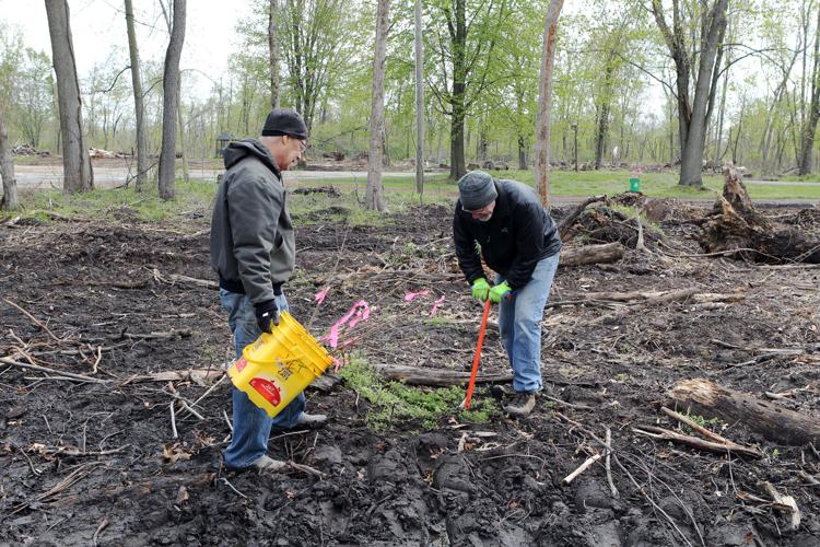 Tree planting at Fox Island County Park | Local | journalgazette.net