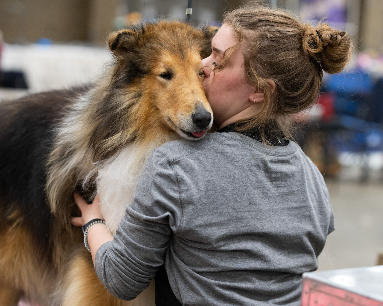 Collie Club of America show at Memorial Coliseum | Local ...
