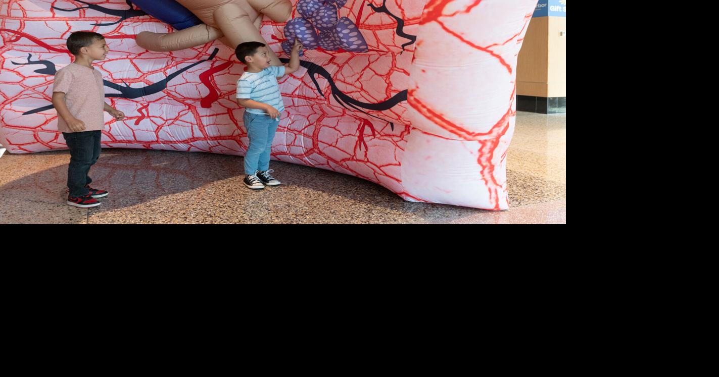 Lutheran Hospital’s mega lung display | | journalgazette.net