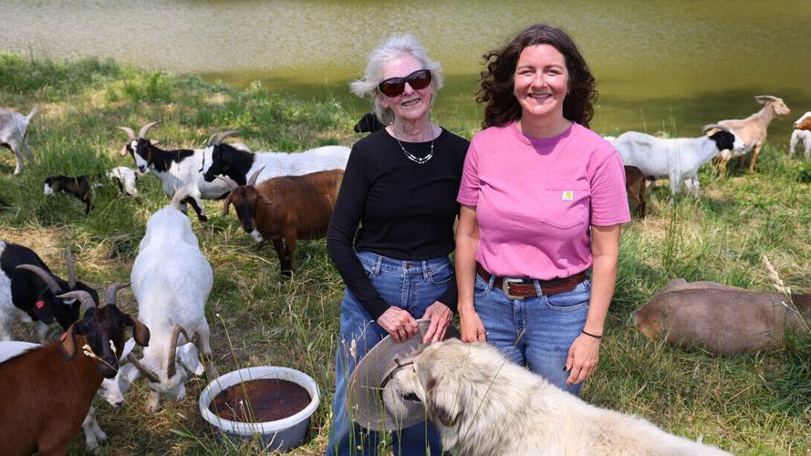 Nebraska Extension links goat farm to local meat market