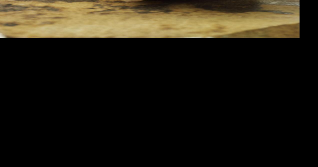 Seasoned to Taste: National Museum of the American Indian Wild Rice Salad