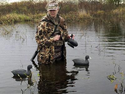 Spreads of mud hen decoys can bring ducks to you