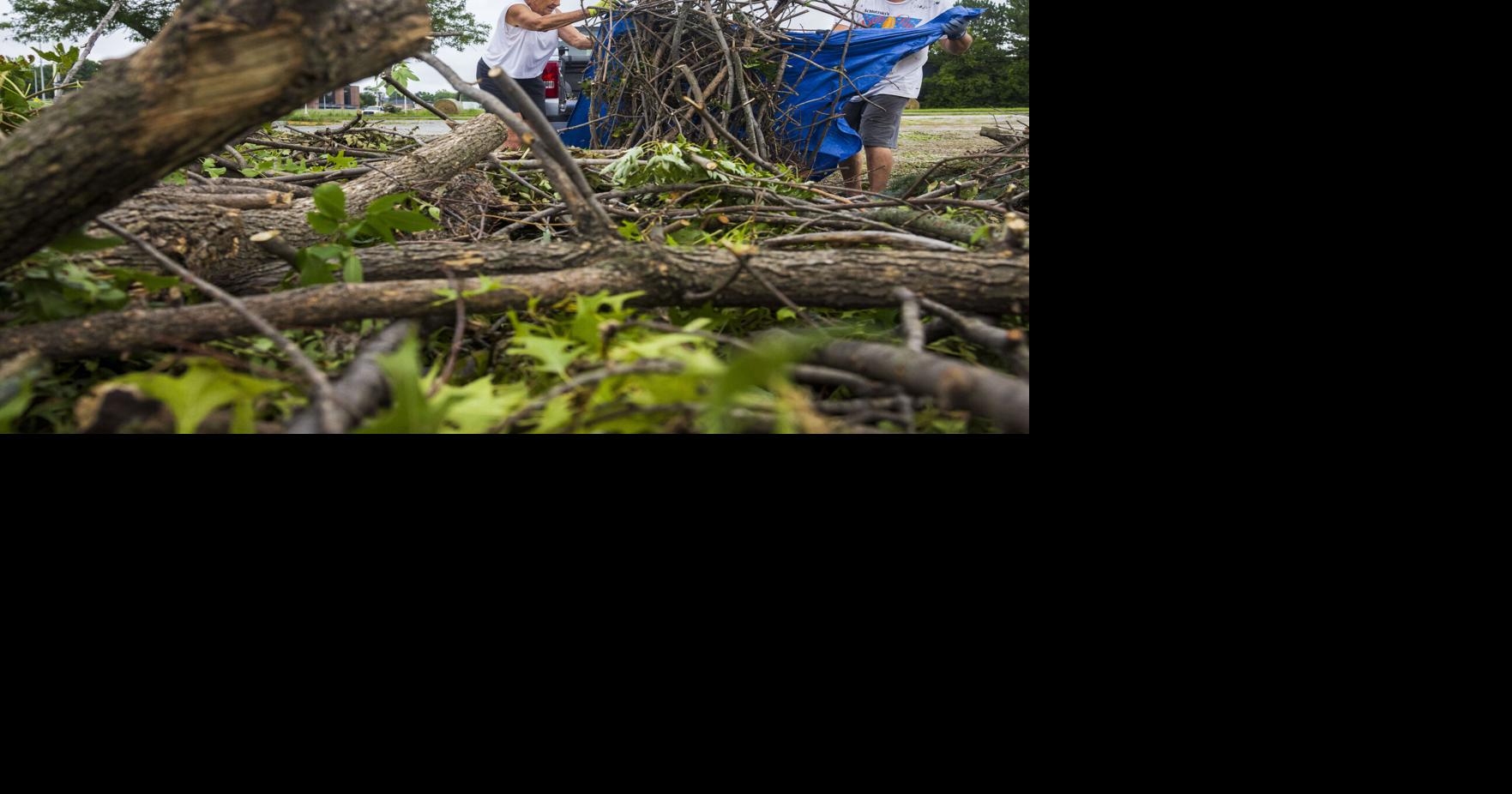 Can I still drop off my tree debris for free in Lincoln?