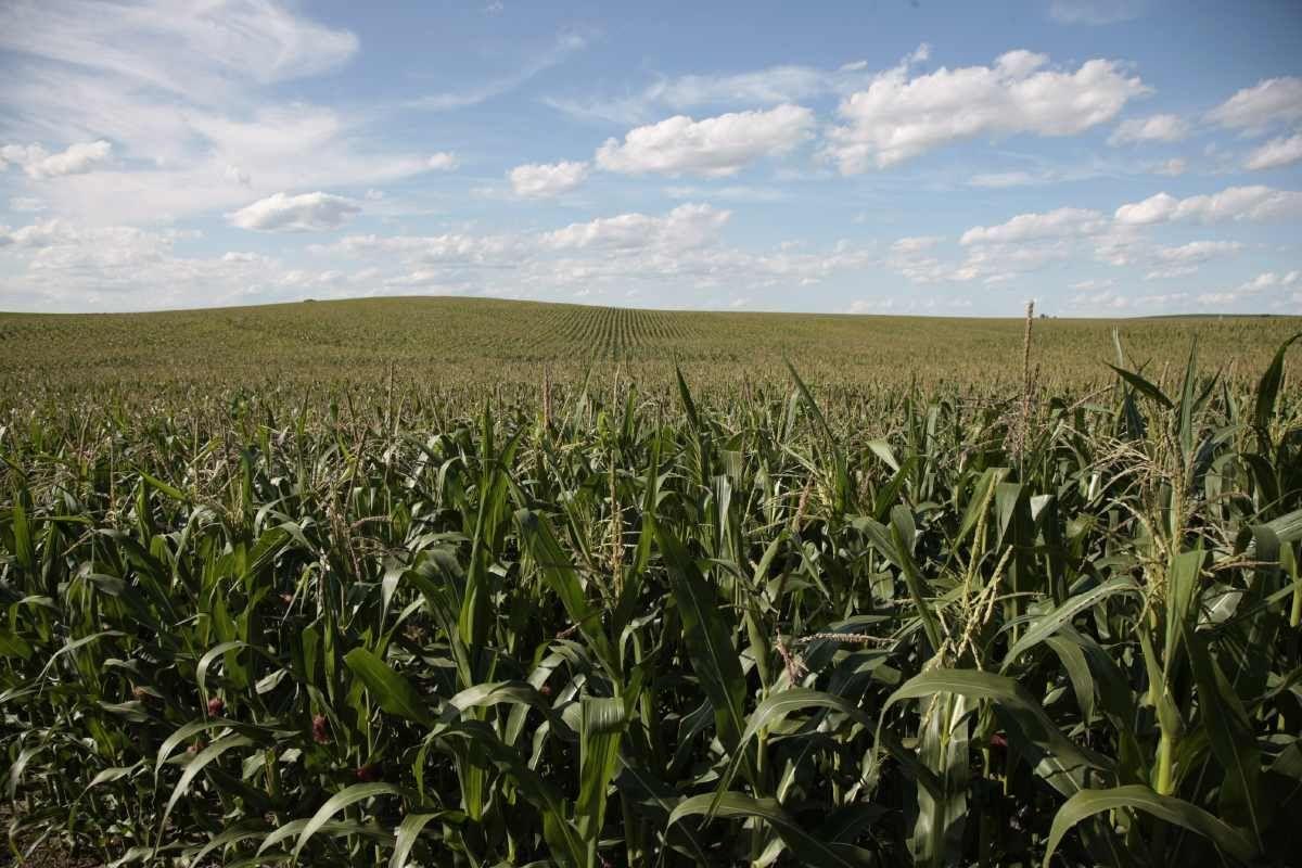 State ranks No. 1 in popcorn production | Directions | journalstar.com