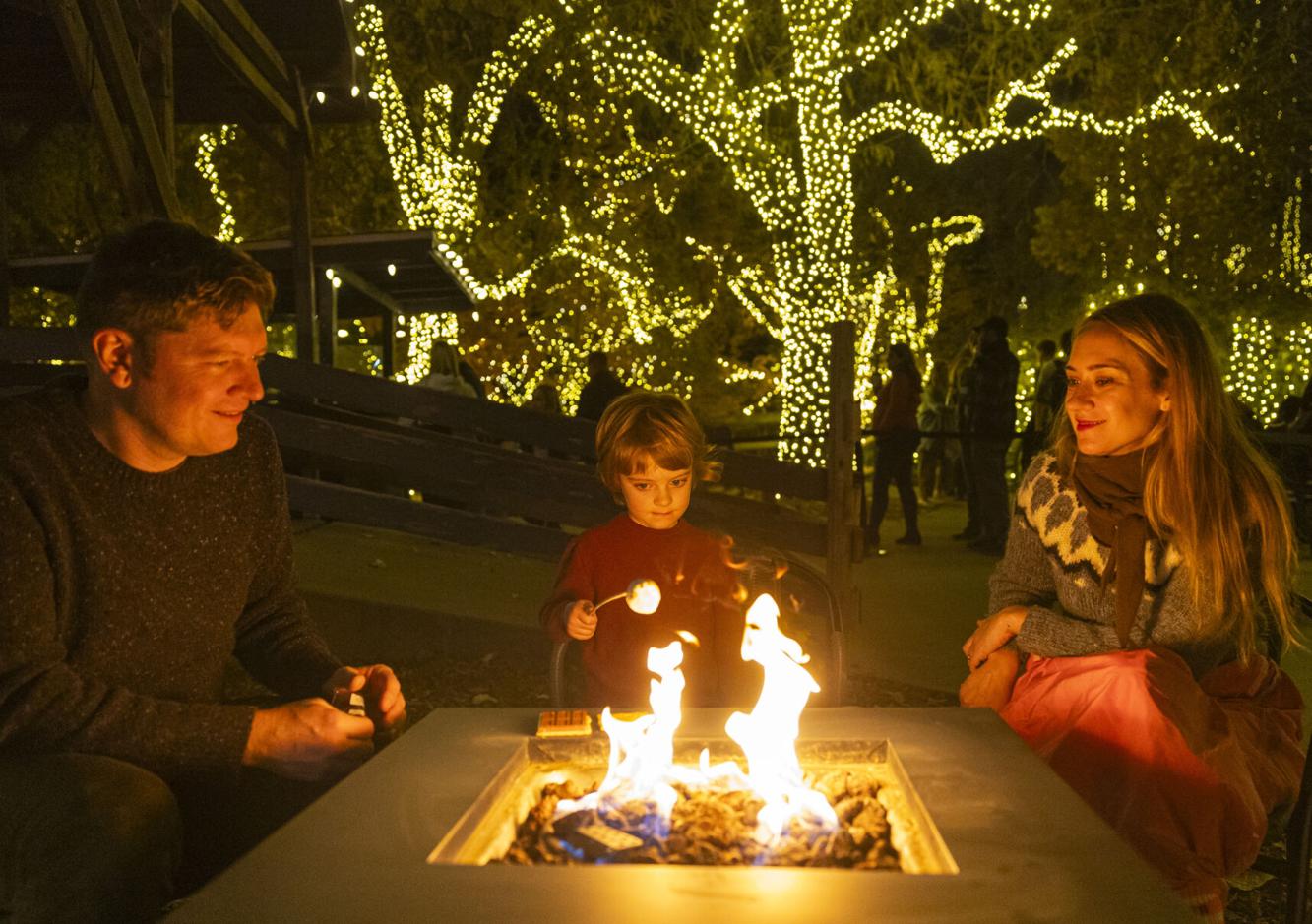 Lights at the Lincoln Zoo and tunnels and holiday music