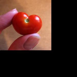 Nebraska chock full of vegetable oddities