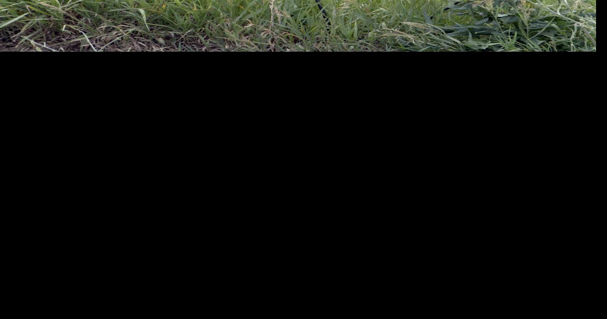 Editorial, 9/26: Moratorium, zoning rules for feedlots good choices