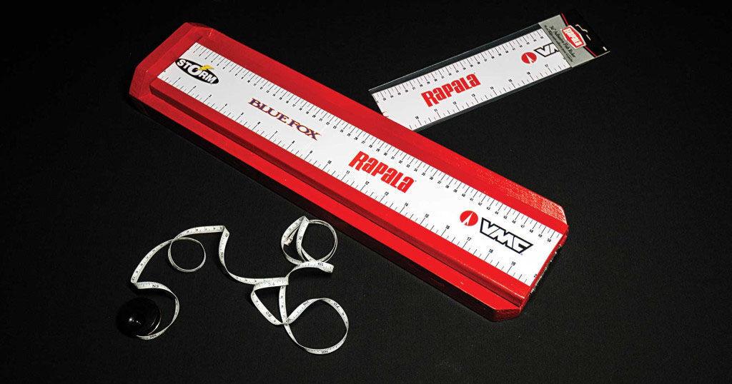 Building a do it yourself fish bump board