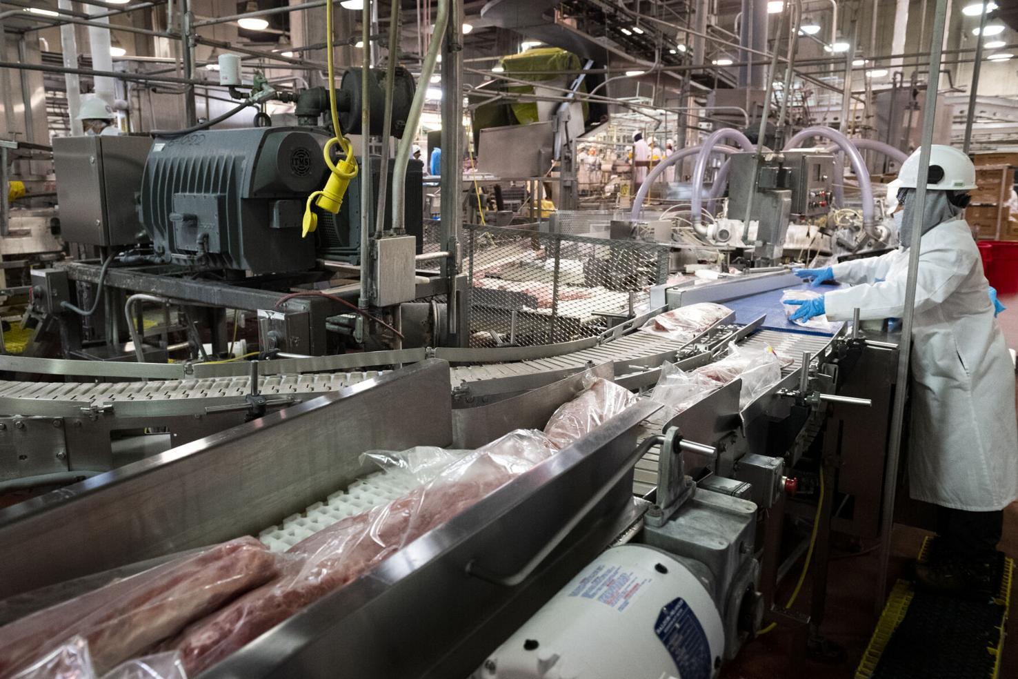Meatpacking workers, advocates describe 'dehumanizing' conditions in ...