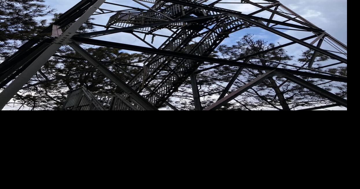 Halsey National Forest fire