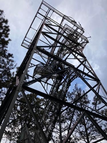 Halsey National Forest fire