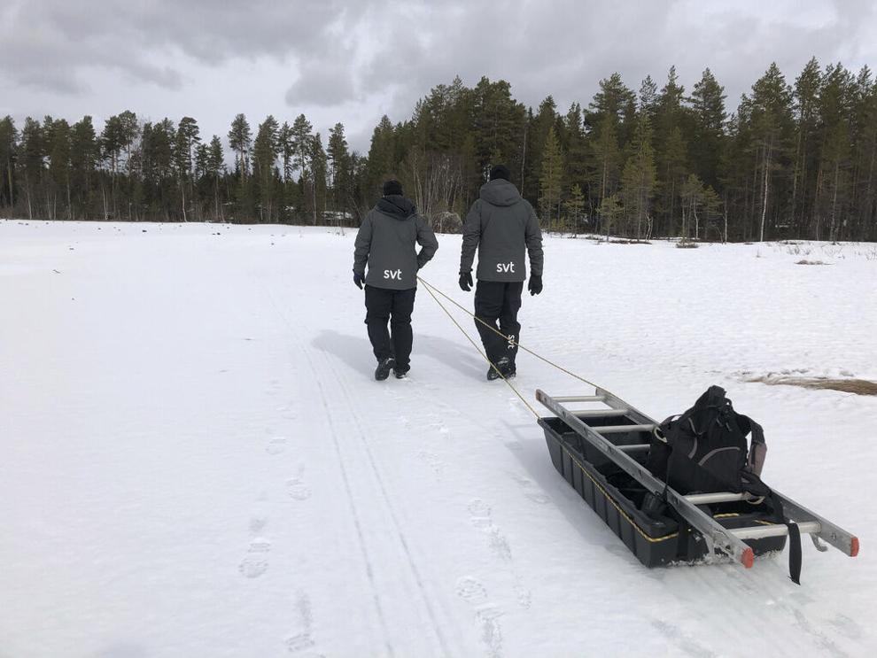 Moose spotted in eastern Nebraska for first time since 2015