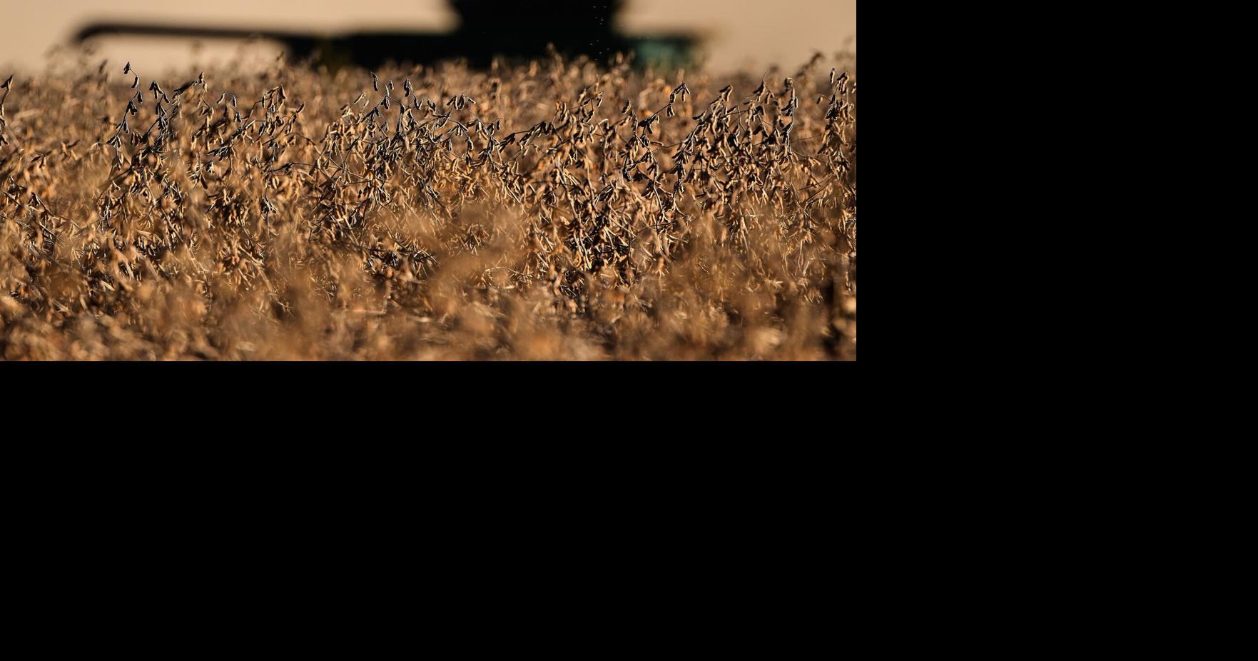 Letter: Farm Bill is foundational