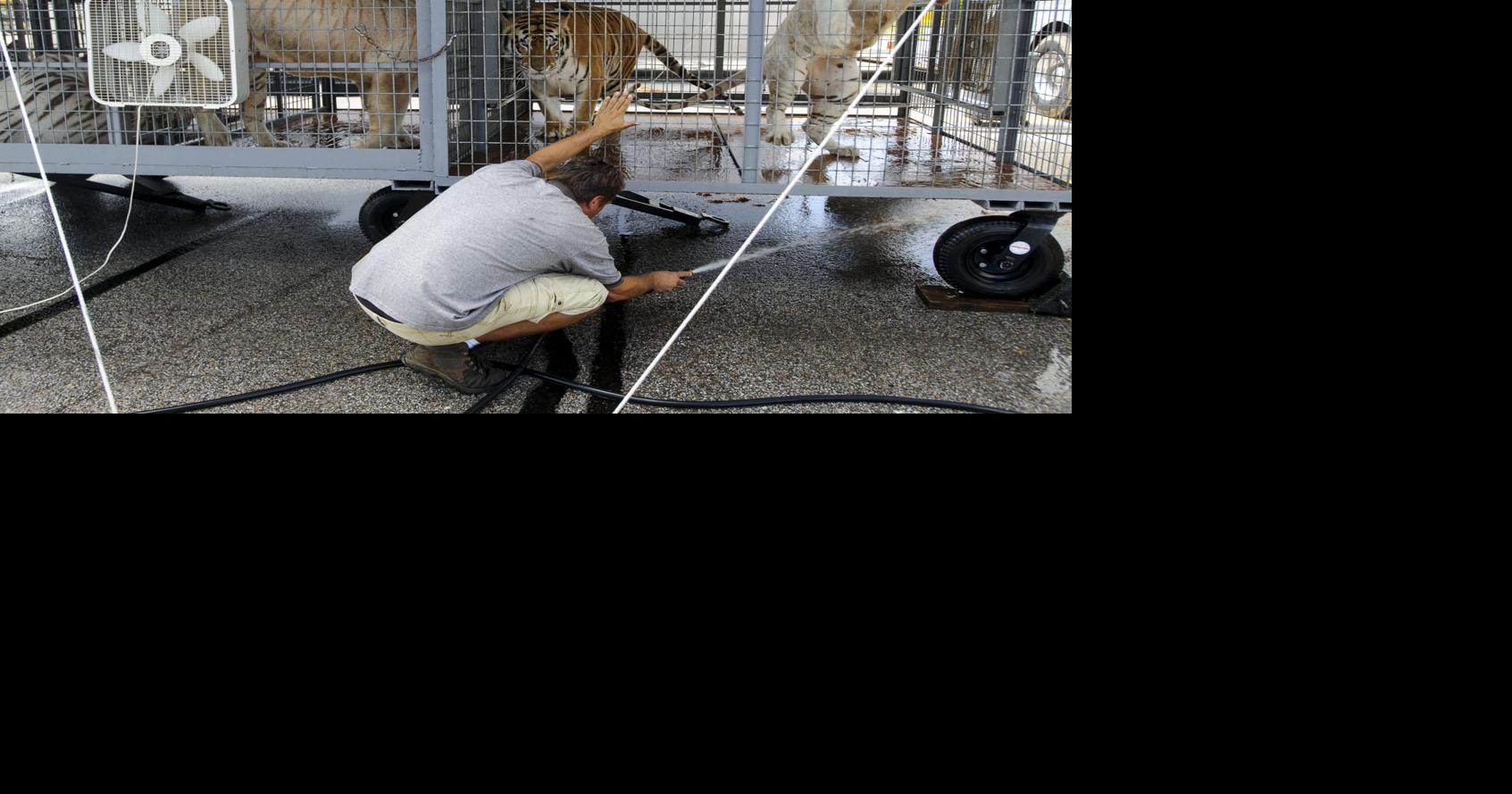 Lancaster County Fair begins: Thursday's highlights