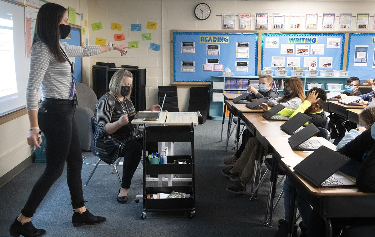 Lakeview teachers combine forces to teach both 'roomies' and 'zoomies ...