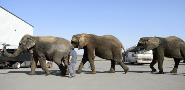 With Pershing closed, Shrine Circus finds new home