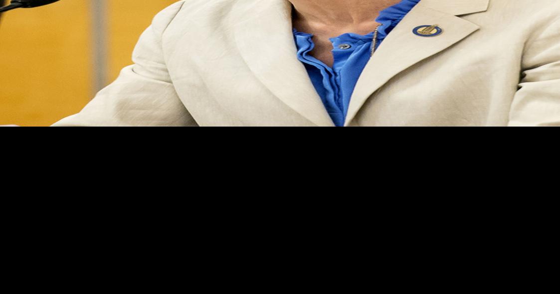 Gaylor Baird running for re-election to council seat