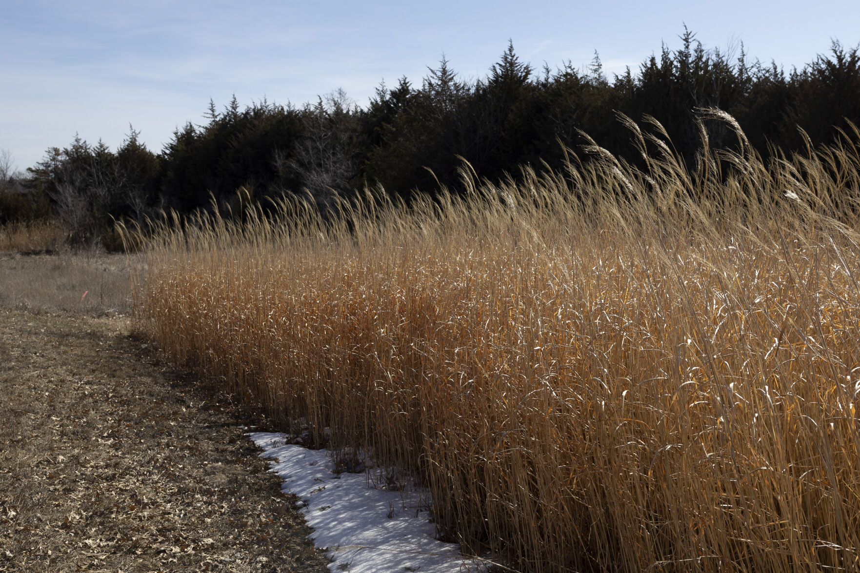 Lancaster Sheriff rules Tyler Goodrich death a suicide