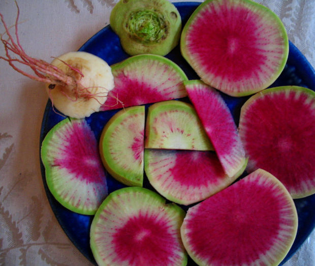 What We're Into: Super Taco, watermelon radishes, Baseball Prospectus