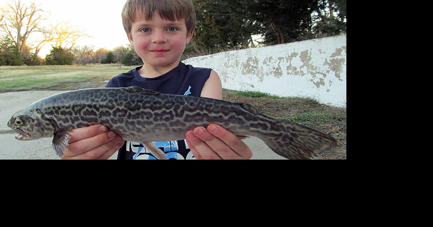 Hybrid trout one of newest state record fish