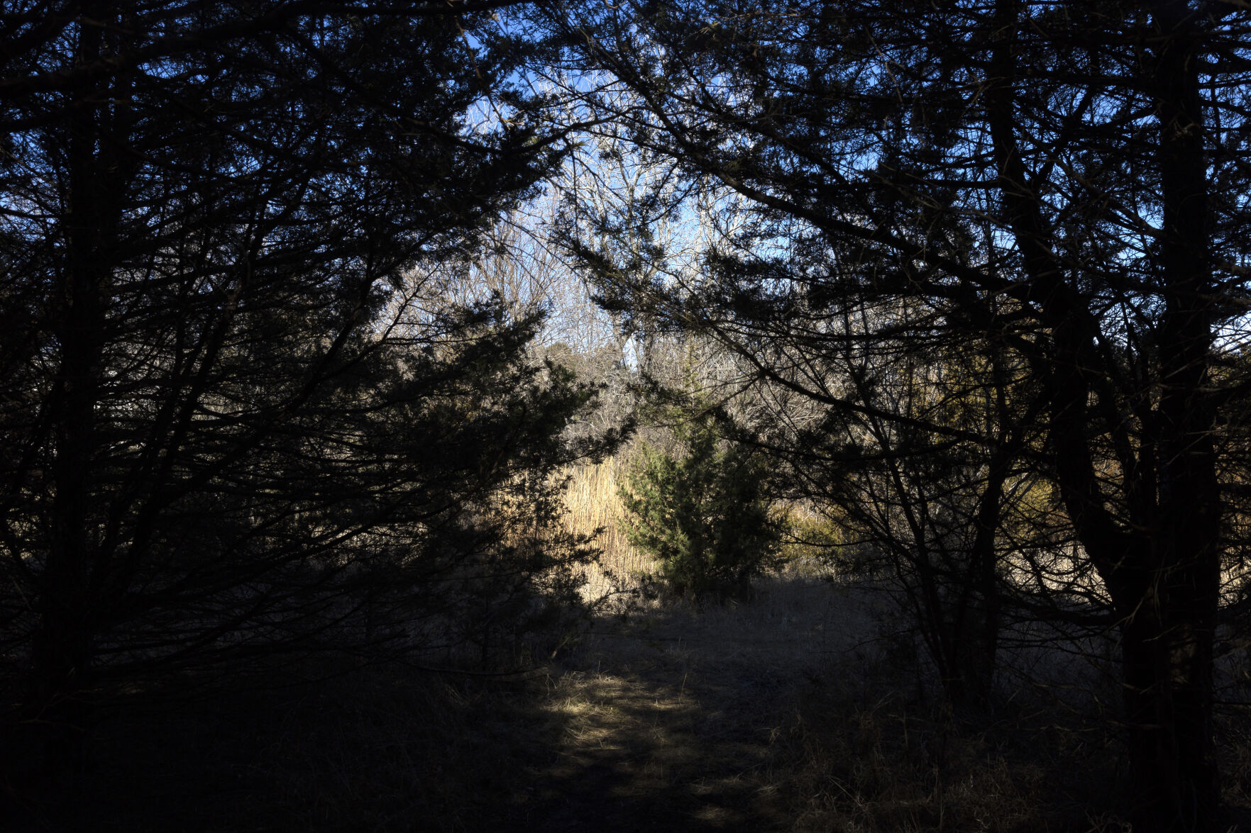 Tyler Goodrich's body found; homicide not suspected