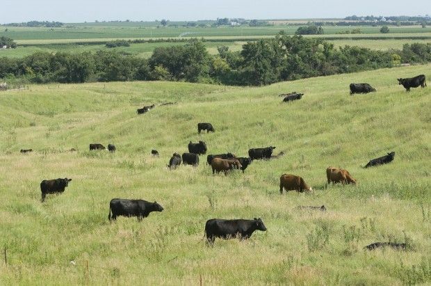 Sweeping views inspire members of new Nebraska Tourism Commission