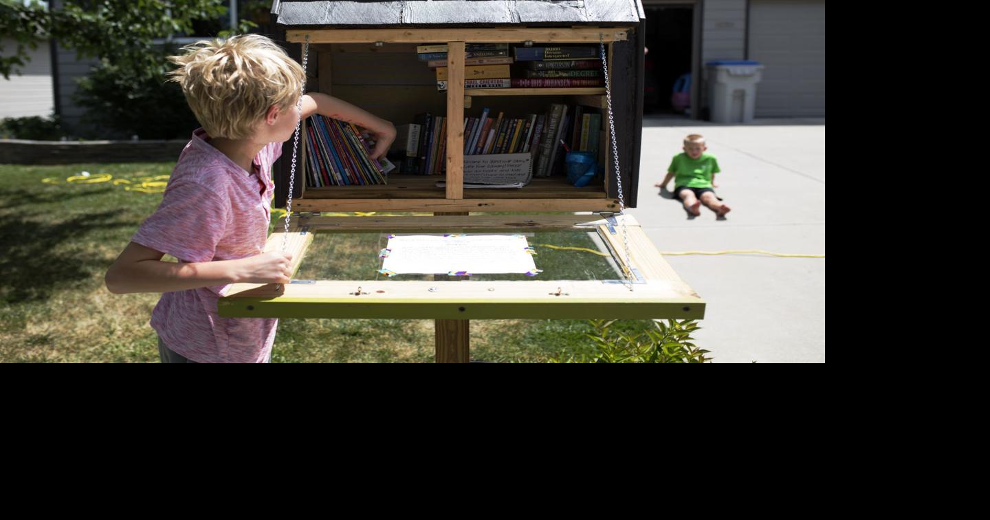 Book thief hits 6 little libraries