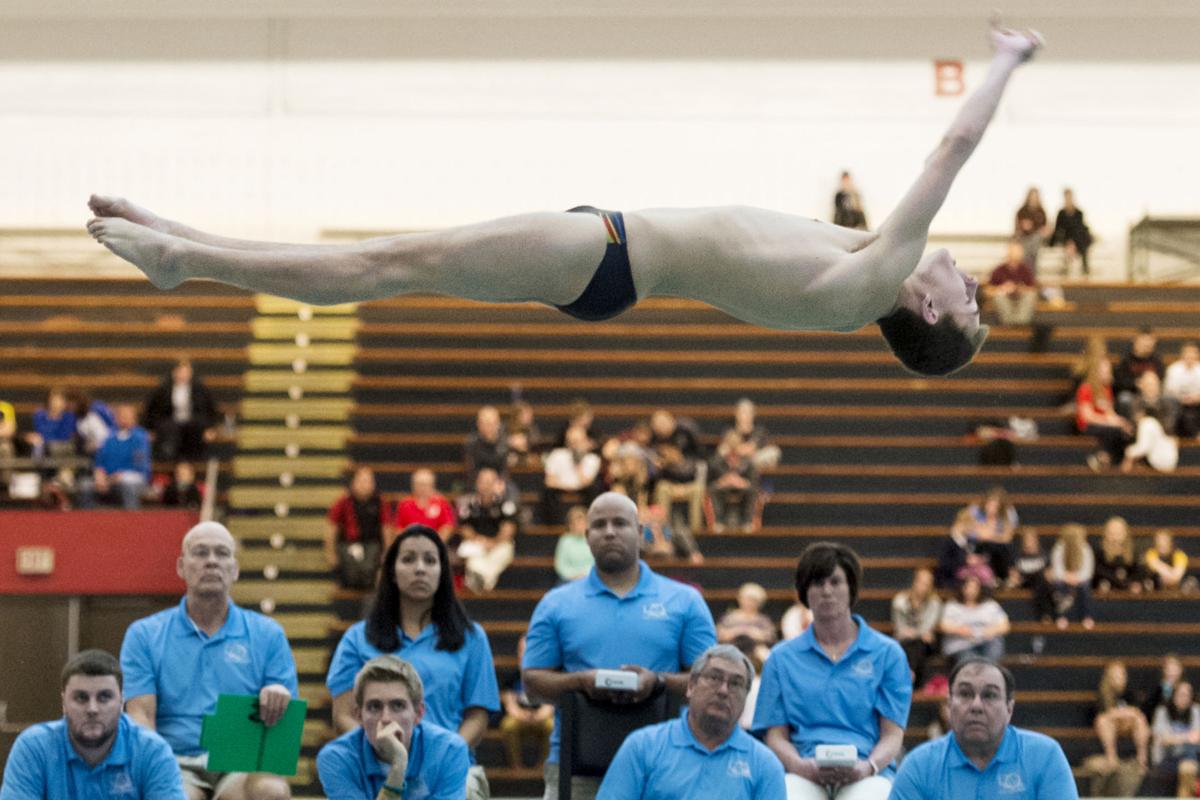 Photos: Boys state diving finals
