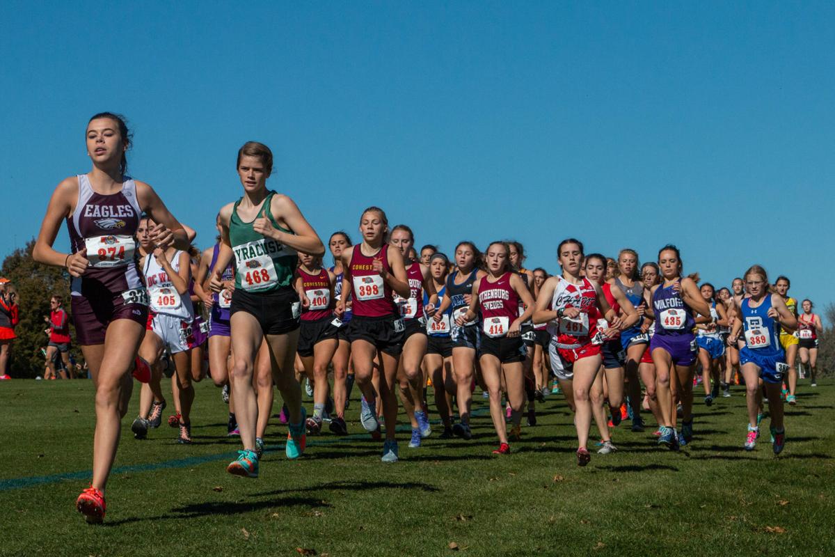 State cross country: Team scoring and medalists for all four classes