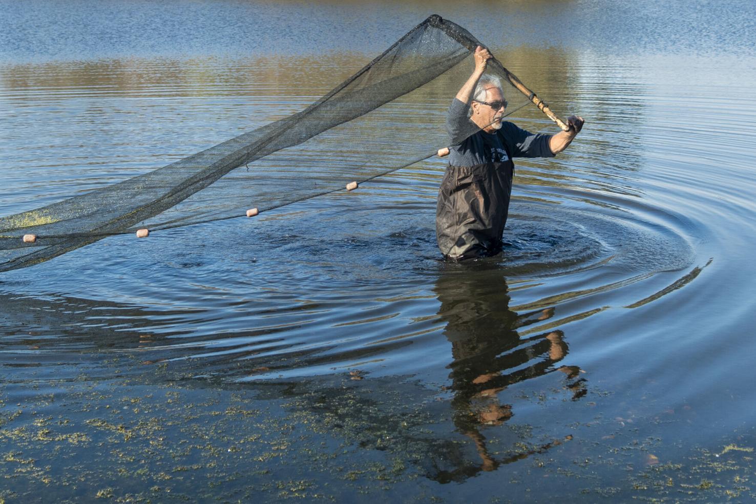 University of Nebraska eyes eliminating 6 academic programs
