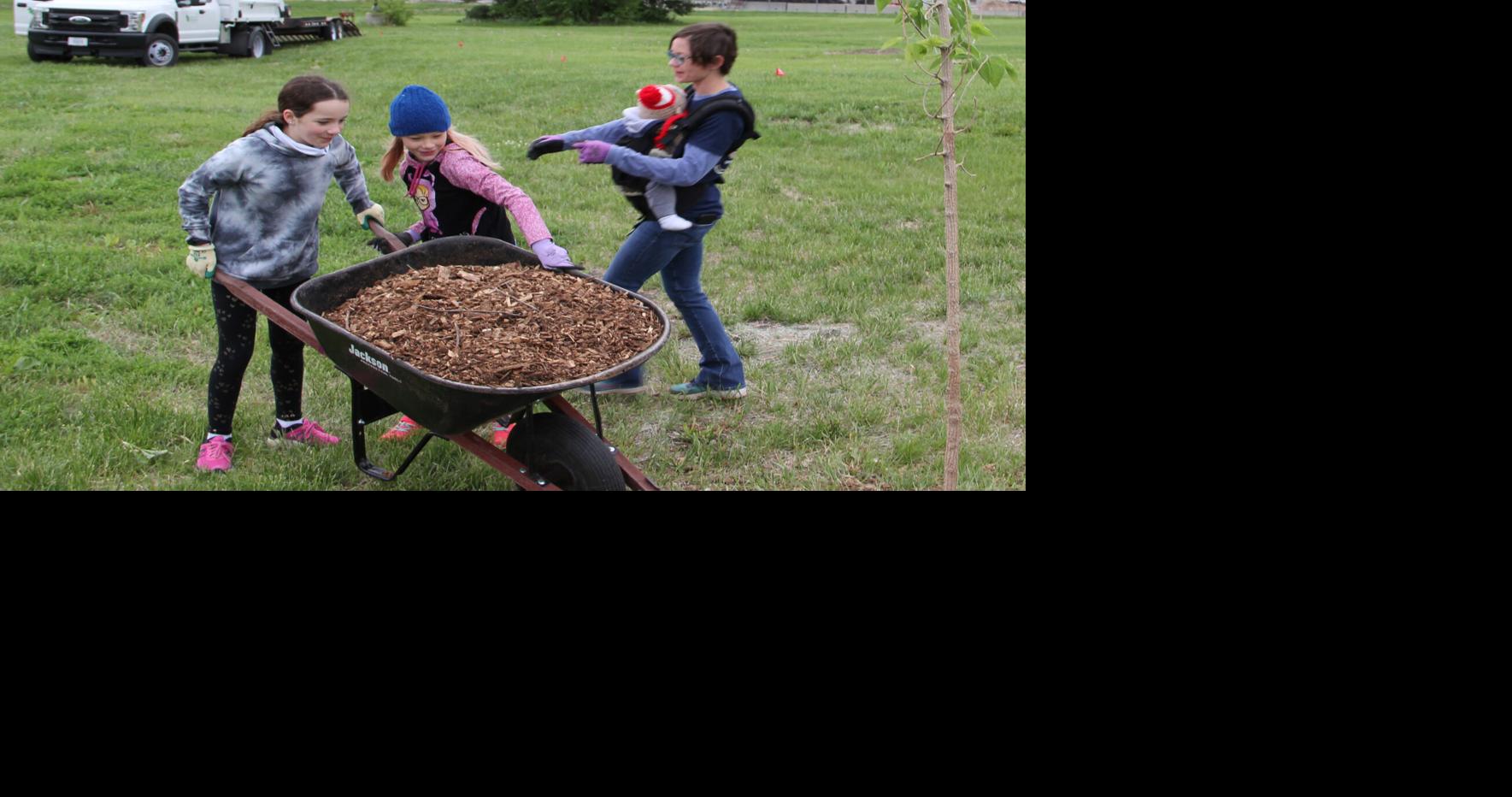 Scouts plant trees at Seacrest Park