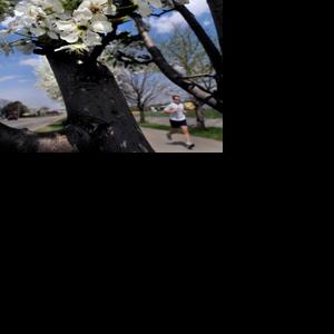 Pollen allergies spike in Lincoln