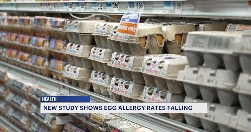 New study shows egg allergies are falling among children