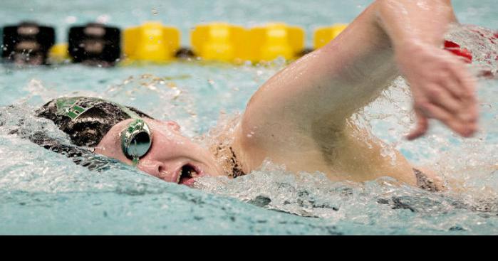Photos: HAC swimming championships, 2.15.14