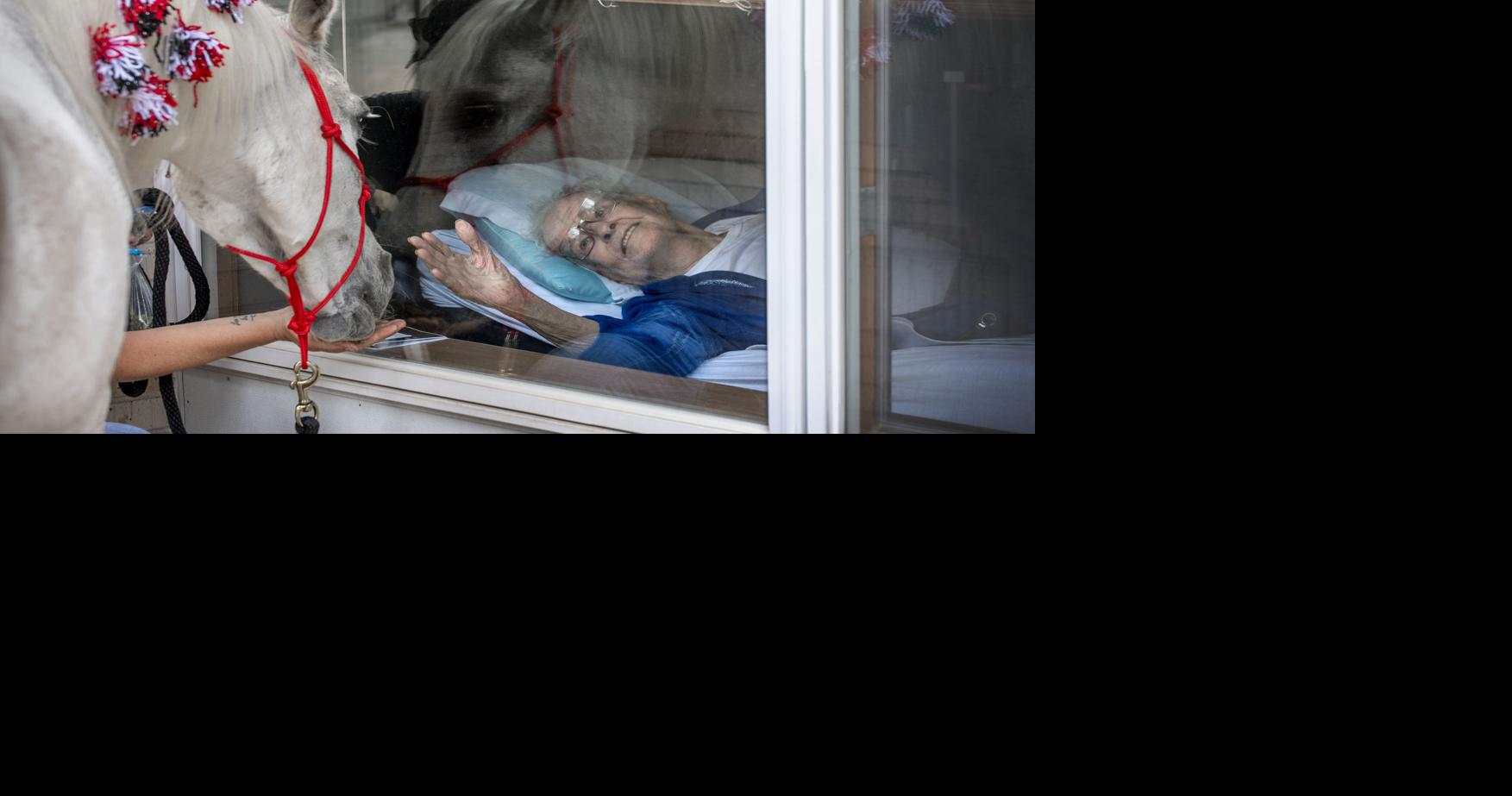 Visits from horses ease isolation for Lincoln care center residents