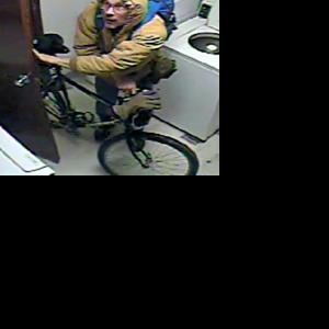 Vacuum bandit gets 15 days for laundry room theft