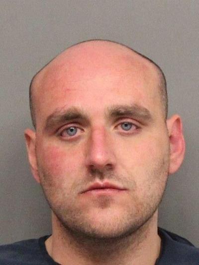 Lincoln man imprisoned for throwing police dog while resisting arrest