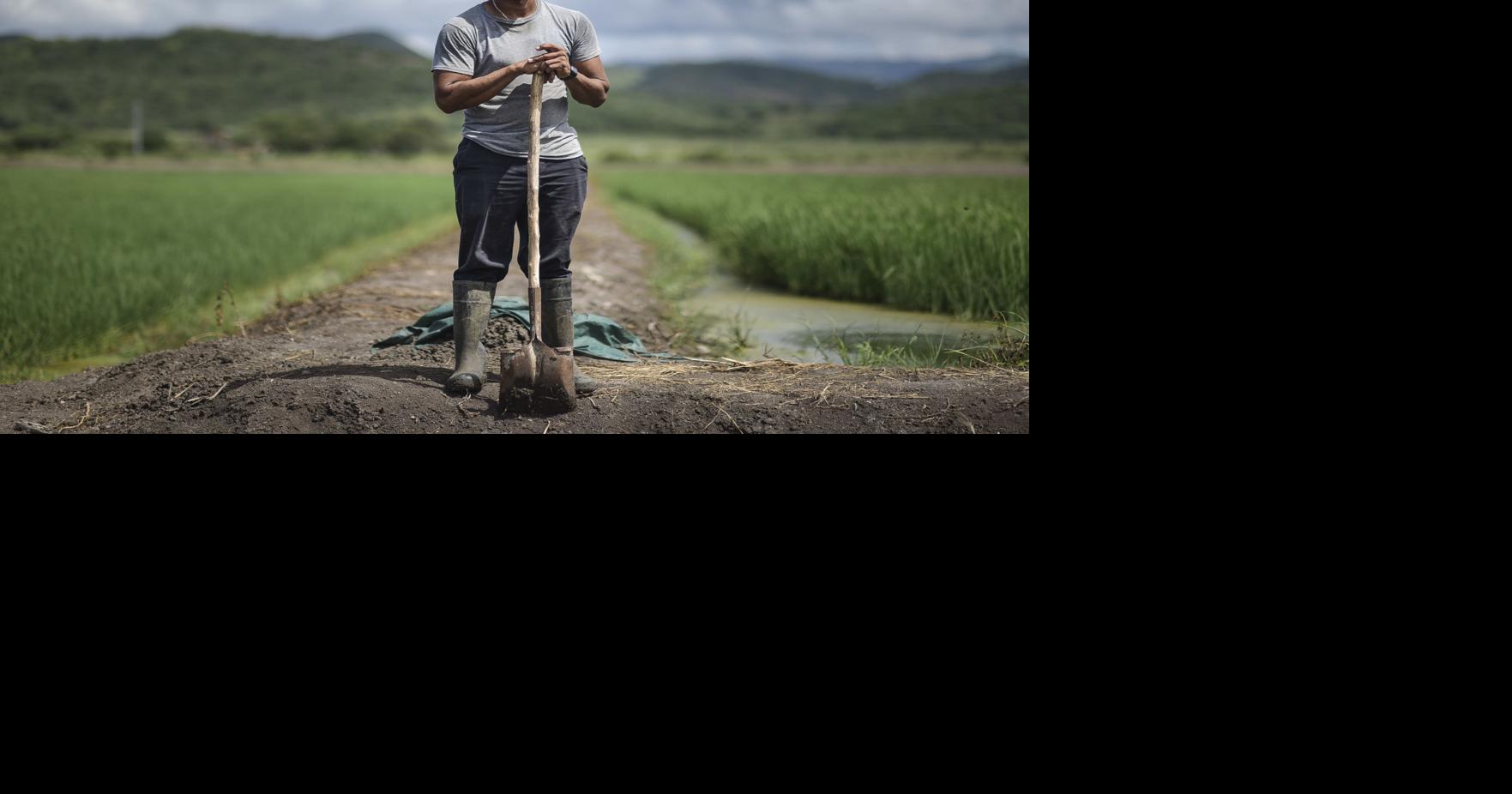 14 photos of Puerto Rico's farming renaissance