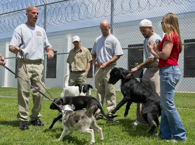 Photos: Second Chance Pups