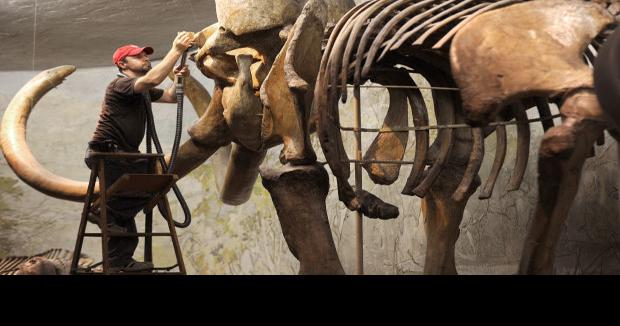 Morrill Hall to host Archie's Late Night Party on June 8