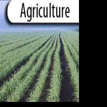 Briefs: Bunge buys Corn Products for $4.4B