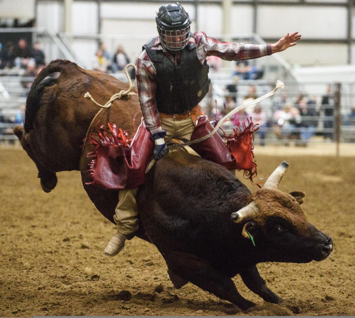 Photos: Extreme Bull Riding