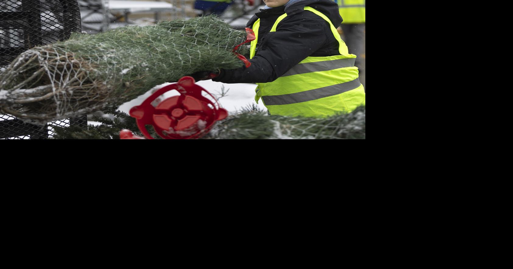 Where to recycle Christmas trees and lights in Lincoln