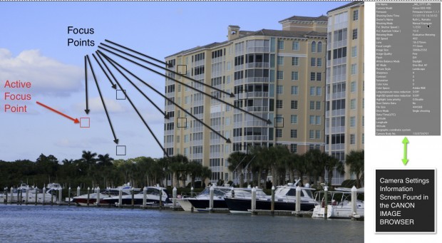 Canon's Image Browser photo : L-mag