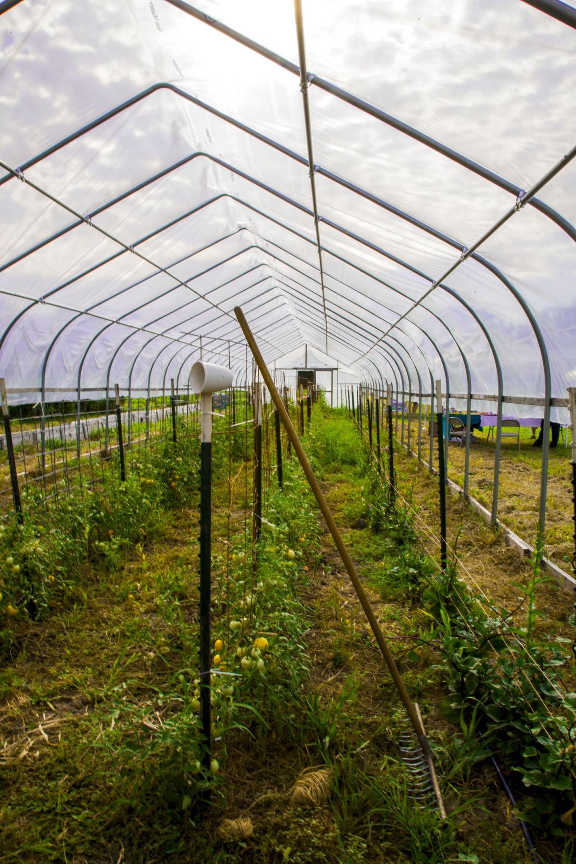 Feast on the Farm | L Magazine | journalstar.com