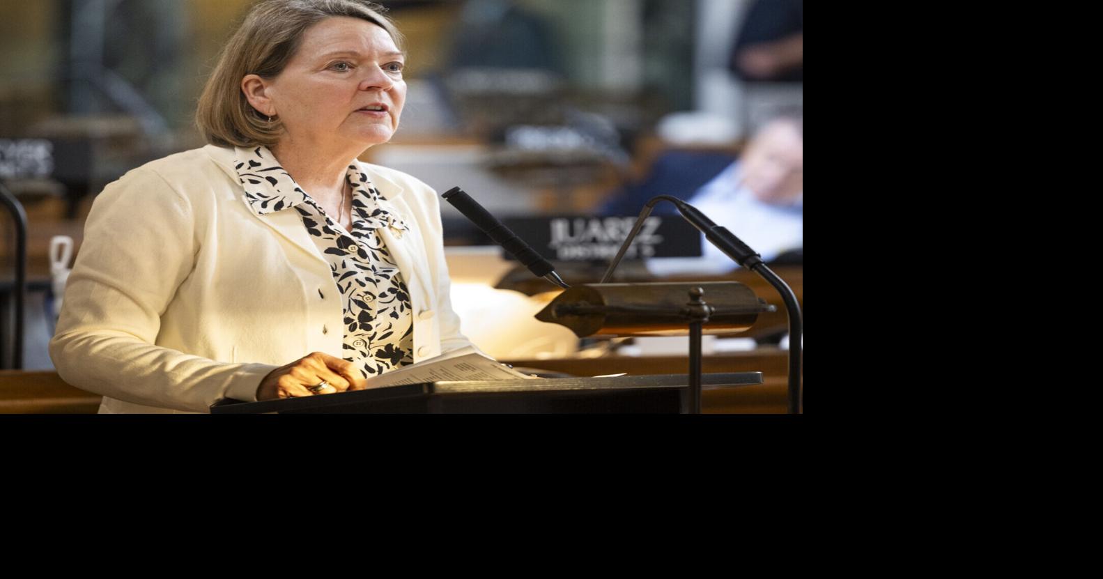 Jane Raybould won't seek second term in Nebraska Legislature